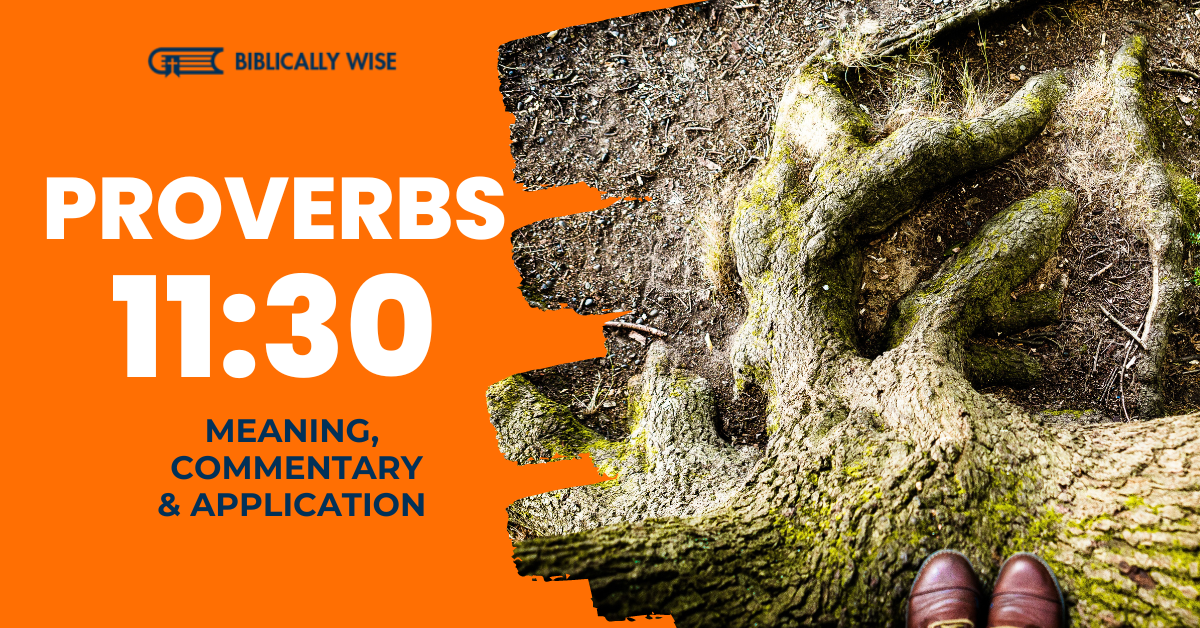 Proverbs 11:30 Meaning: The Righteous and the Tree of Life - Biblically ...