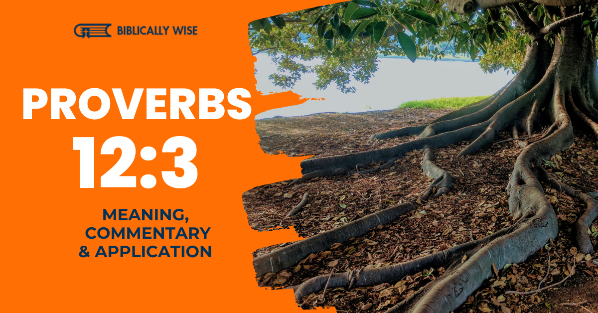 Proverbs 12:3 Meaning: The unmovable Root of the Righteous - Biblically Wise