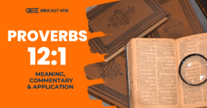 Proverbs 12:1 Meaning: Wisdom through Discipline and Correction ...